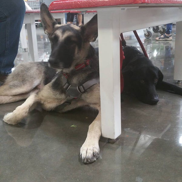 Photos at Costco - Warehouse Store in Manchester