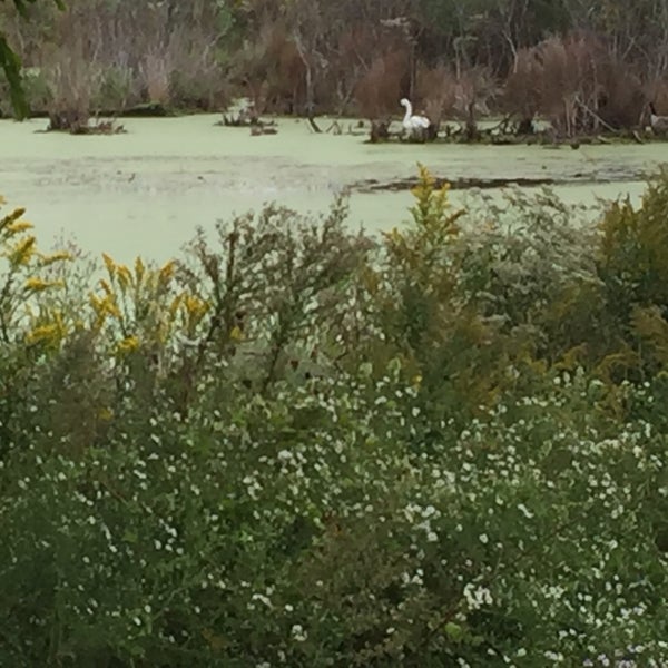 Sag Quarries - Other Great Outdoors