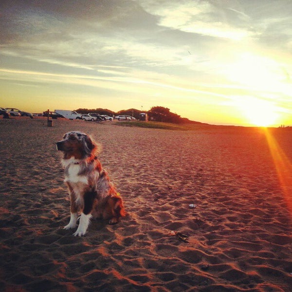 Photos at Fort Funston - Park in Lakeshore