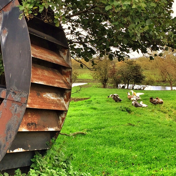 Broom Mill Farm Shop - Tea Room