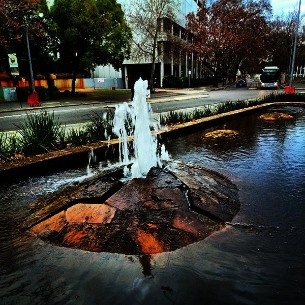 Claisebrook Cove parkrun - Sports and Recreation in East Perth