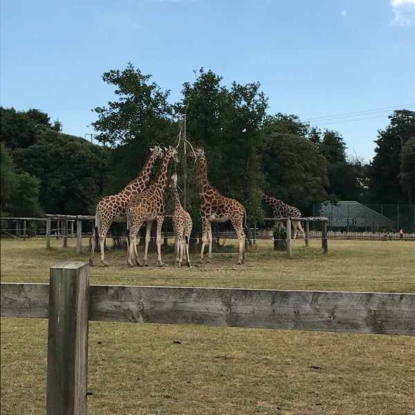 Photos at Fota Wildlife Park - Zoo