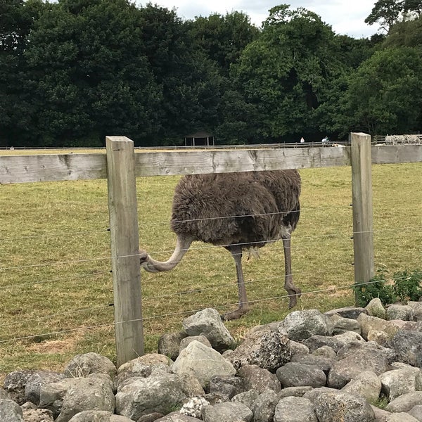 Photos at Fota Wildlife Park - Zoo
