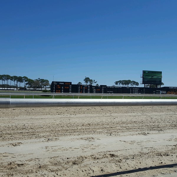 Photos at Tampa Bay Downs - Race Track