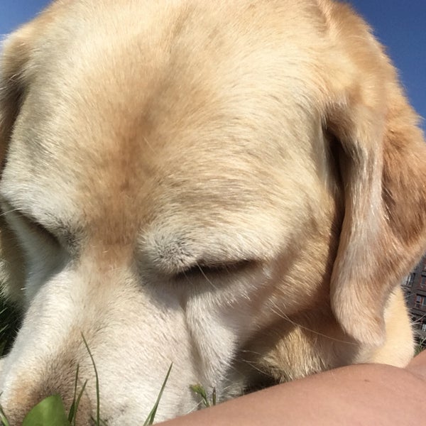 Waterwinpark - Park in Utrecht