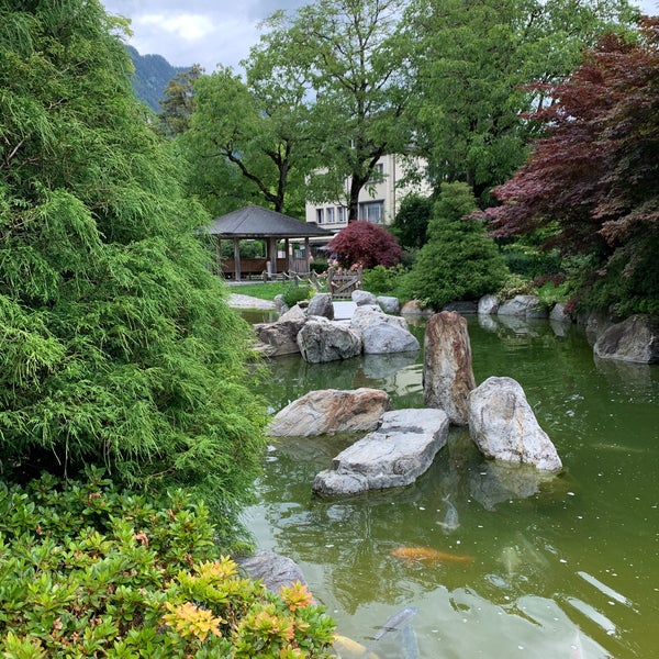 Japanischer Garten Interlaken - Garden