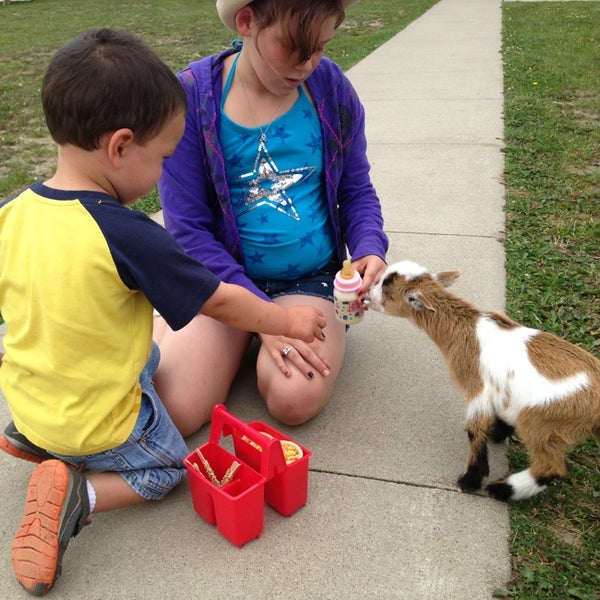 A maze'n Farmyard - Farm in Eden Valley