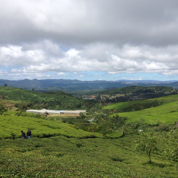 Tra Co Cau Dat village