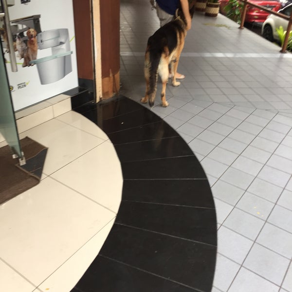 Photos at Gasing Veterinary Hospital - Veterinarian in Petaling Jaya