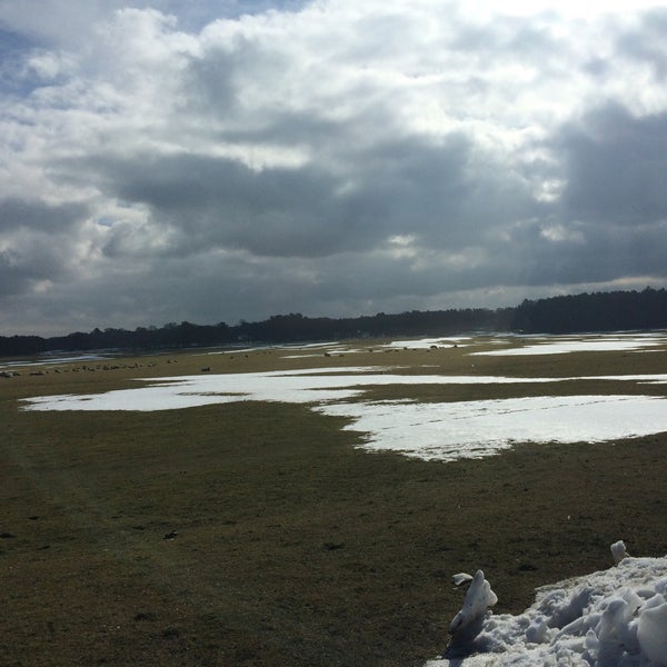 Curragh Plains - Curragh Camp