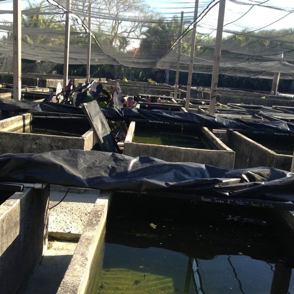 Neighborhood Fish Farm - 8 tips from 161 visitors