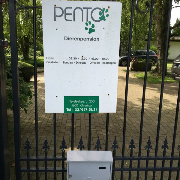 Pento - 1 tip