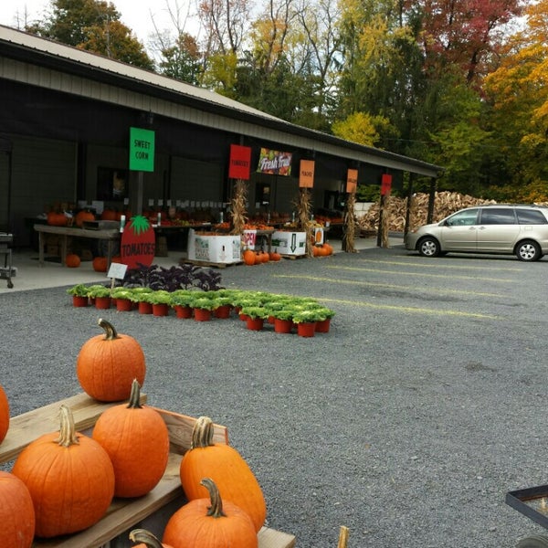 Huntingdon Valley - City