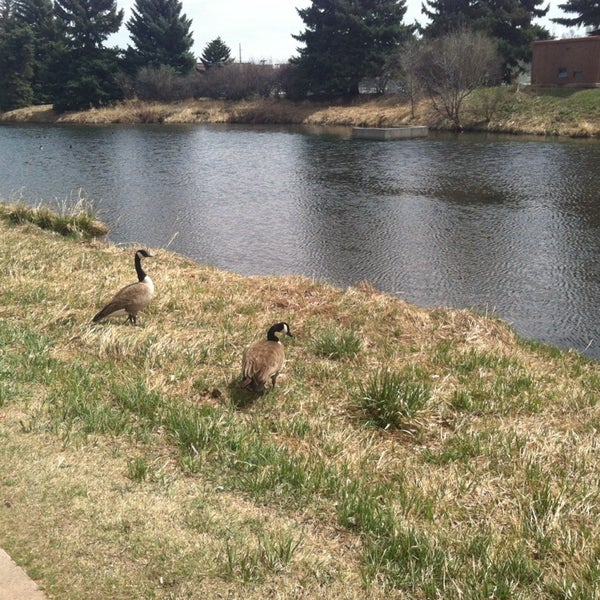 Edora Park - 4 tips from 378 visitors