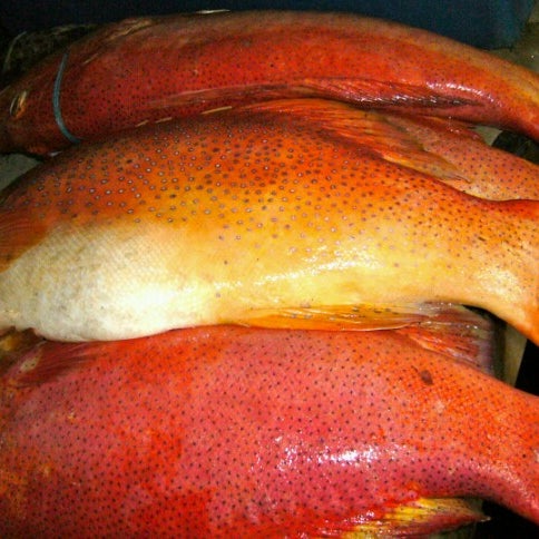 Pasil Barangay Hall - 29 visitors