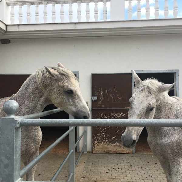 Photos at Vali Ranch, Gjilan - Përlepnic