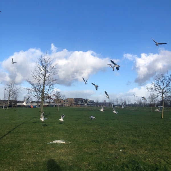 Cascadepark - Almere-Poort - 2 tips