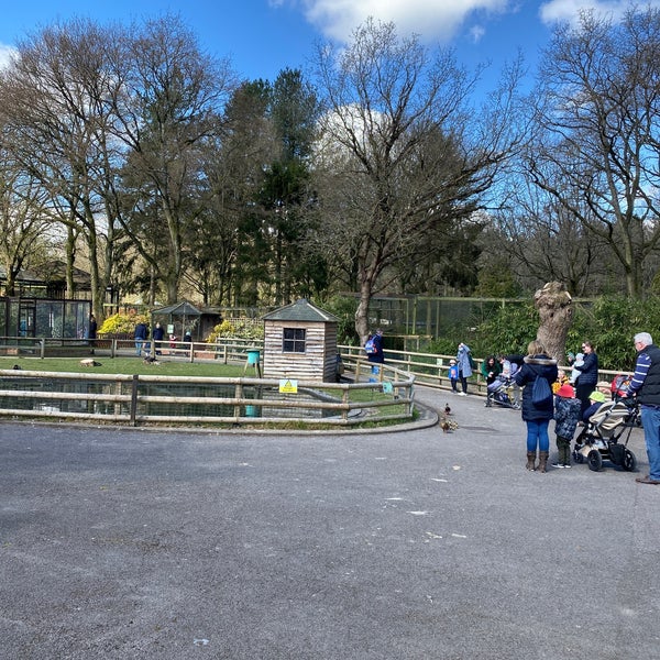 Bird World - Zoo in Farnham