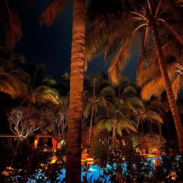 Matador Room - Tapas Restaurant in Ocean Front