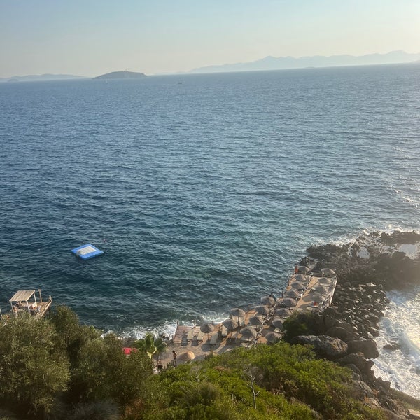 Vega Beach - 5 tips from 339 visitors