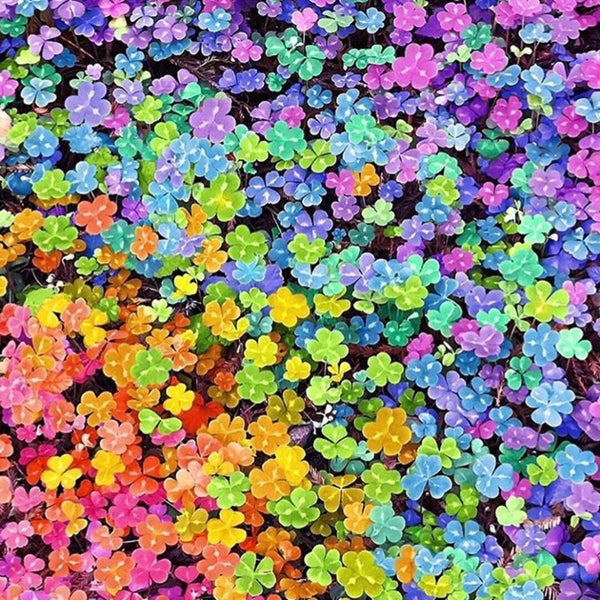 UGent Complex Blandijn - Sint-Pieters - 10 tips