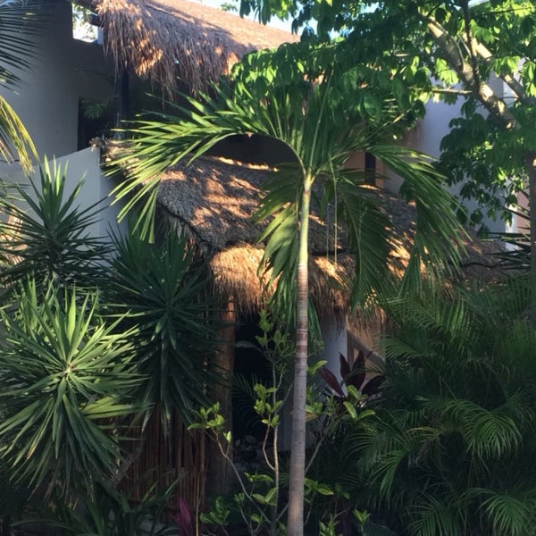 Green Tulum Cabanas y Gardens - Tulum, QROO