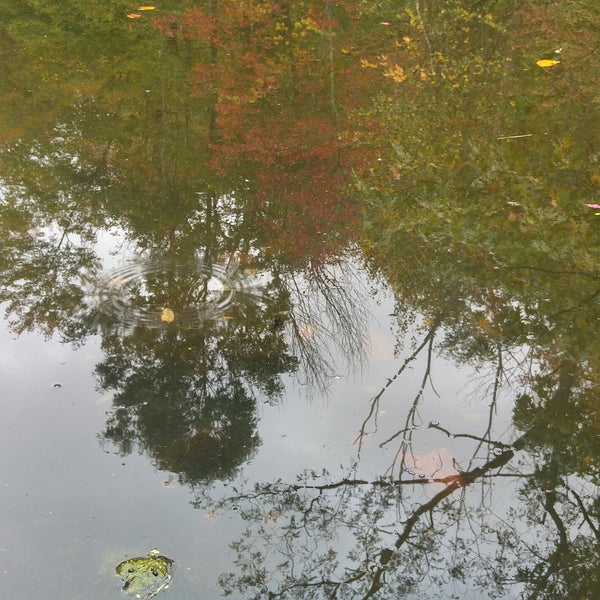 Wonder Lake - Hiking Trail