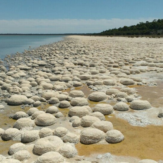 Lake Clifton Thrombolites - Scenic Lookout