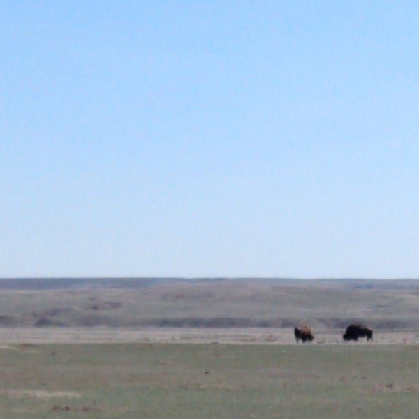 Grasslands National Park - Val Marie, SK