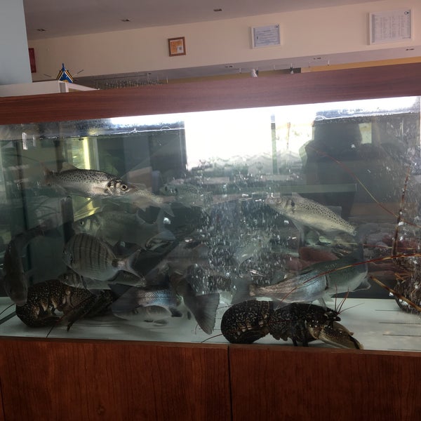 Pata Roxa - Almada, Setúbal