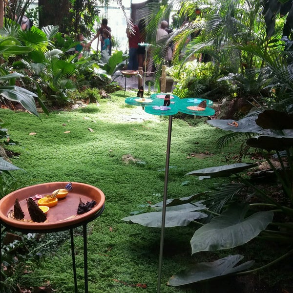 Photos at Vlindertuin - Zoo Exhibit in Antwerpen