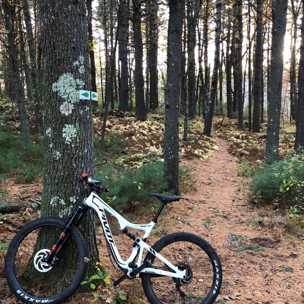 Burchard Park - Weston, MA