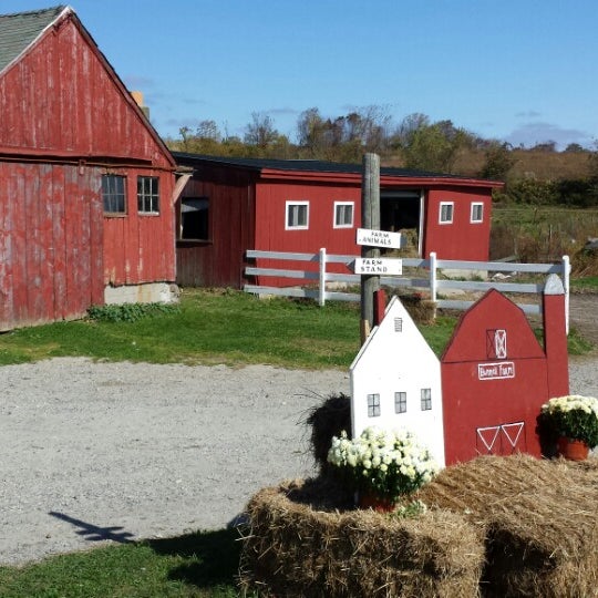 Bunnell Farm - Farm