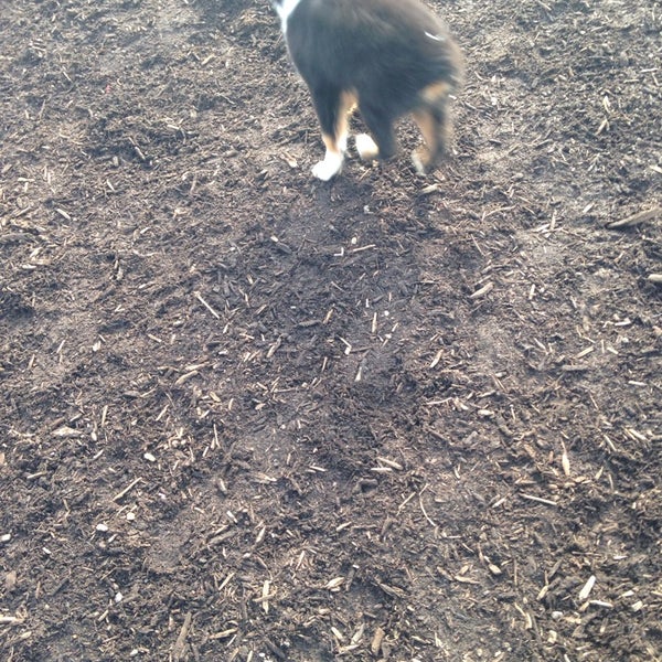 Walter Reed Dog Park - Arlington, VA