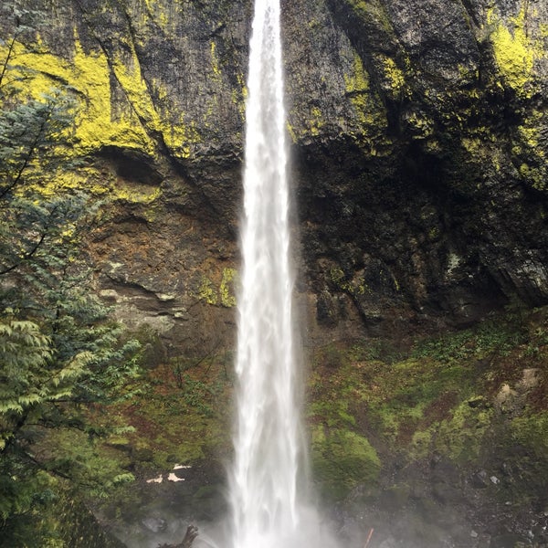 Elowah Falls - 7 tips from 300 visitors