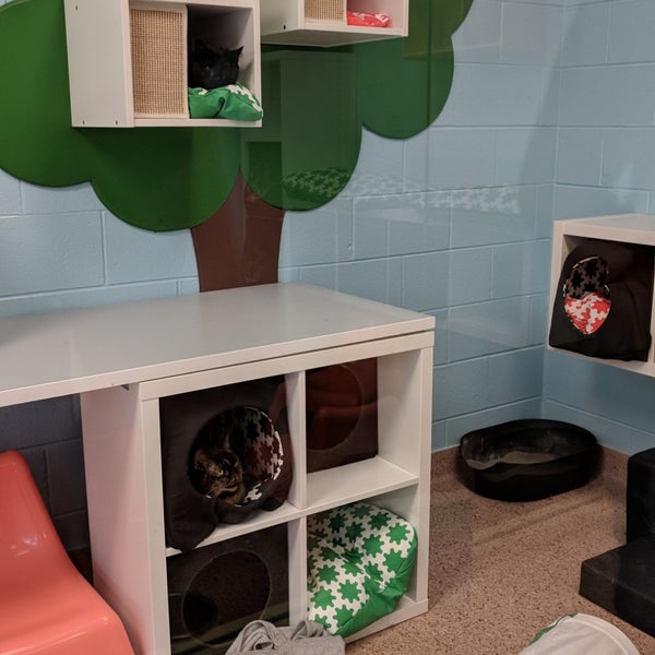 Pennsylvania SPCA - Animal Shelter in Philadelphia