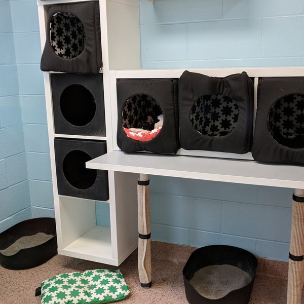 Pennsylvania SPCA - Animal Shelter in Philadelphia