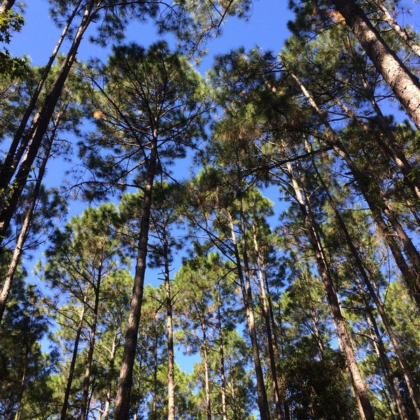 Photos at Robert W. Loftin Nature Trails at the University of North ...