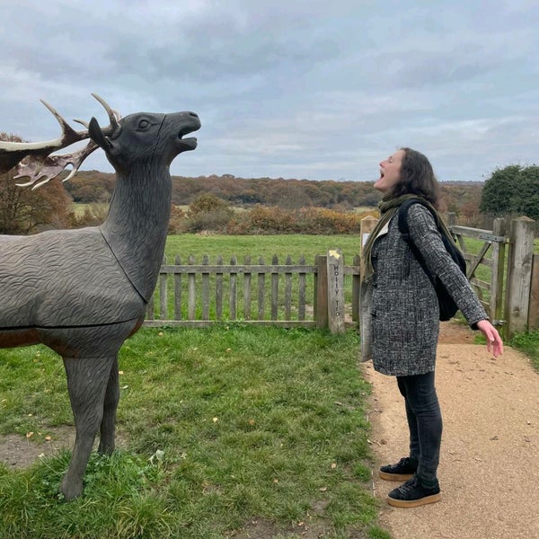 Queen Elizabeth's Hunting Lodge - History Museum