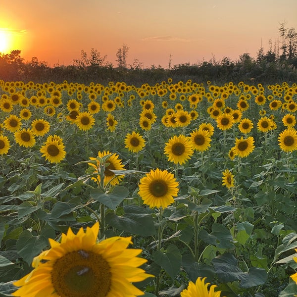 City of Avon - 4 tips from 1006 visitors