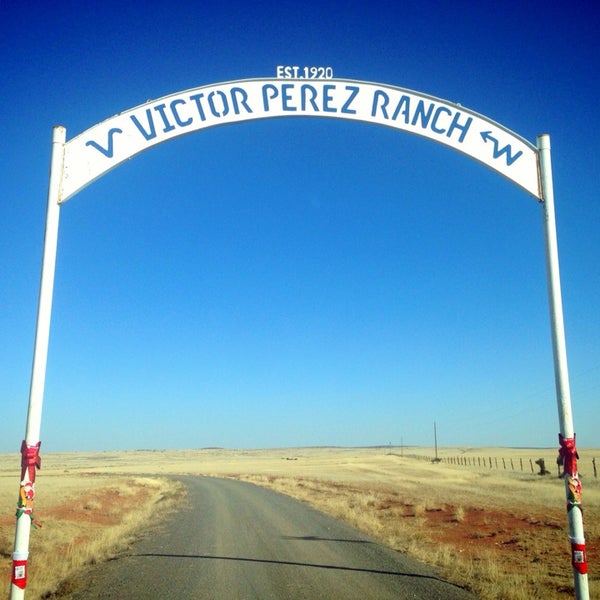 Victor Perez Ranch : New Mexico Sheep & Cattle - Encino, NM
