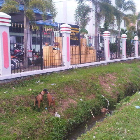 SMAKPA - sekolah menengah analis kimia padang - 14 visitors