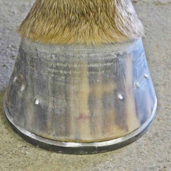 Photos at Harrah's Philadelphia Casino & Racetrack - Downtown Chester ...