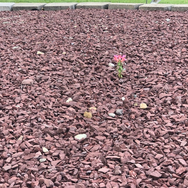 Torrey Ridge Winery - 2770 State Route 14