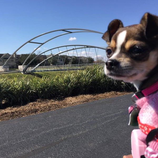 Rick Rice Park - 2 tips from 71 visitors