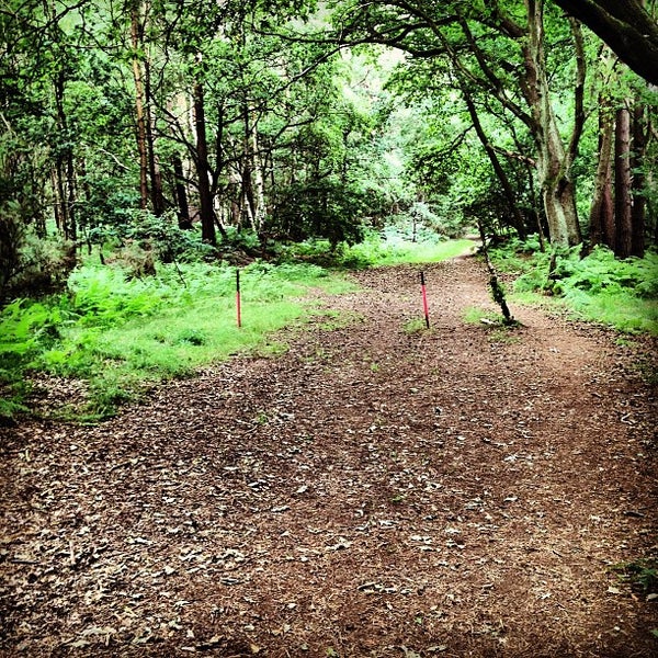 Old Dean Common - Camberley, Surrey