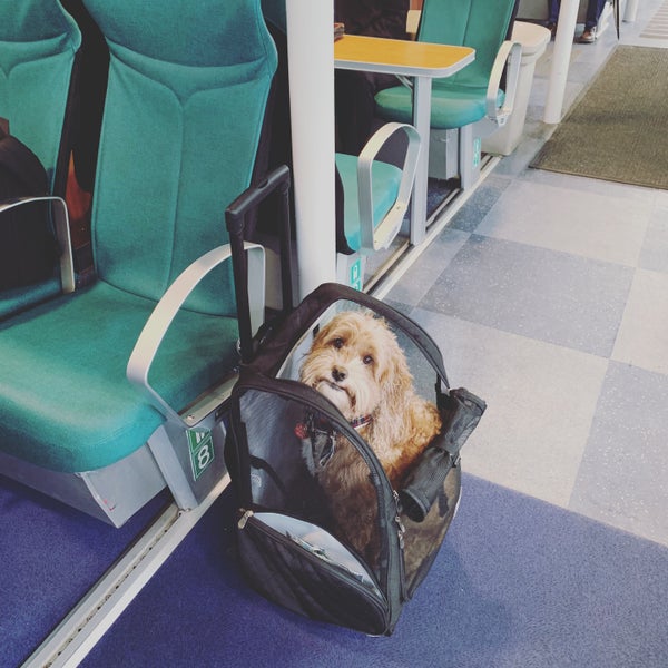 Photos at Golden Gate Larkspur Ferry Terminal - Marine Terminal in East ...