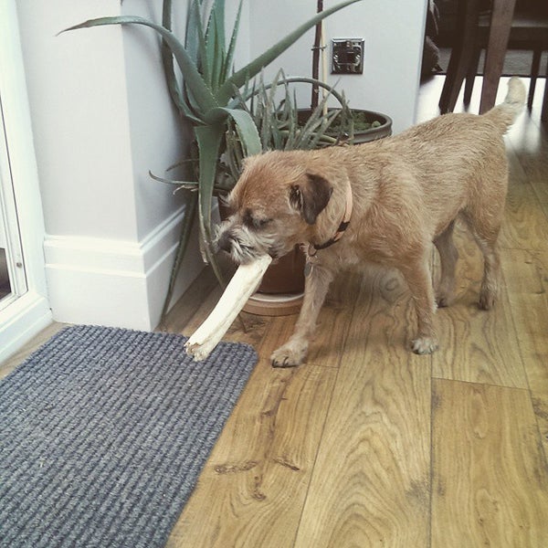 Quentin James Design - 11 visitors