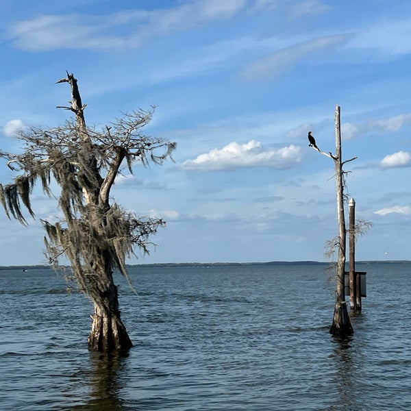 Lake Eustis - 3 tips from 325 visitors