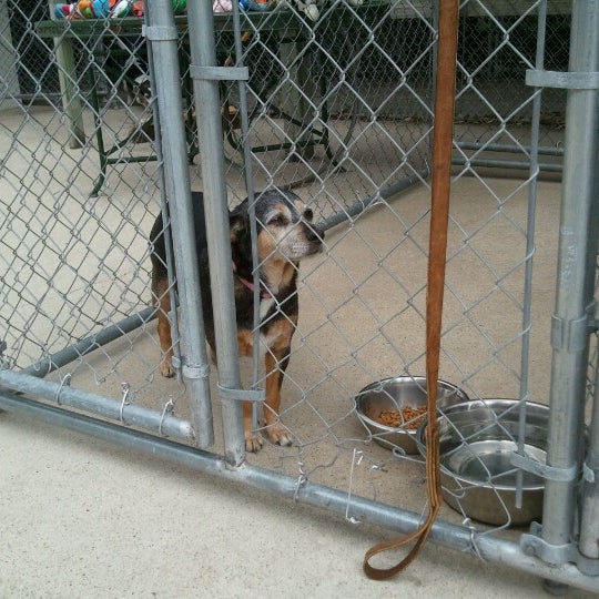 Animal Protective League - Structure in Springfield